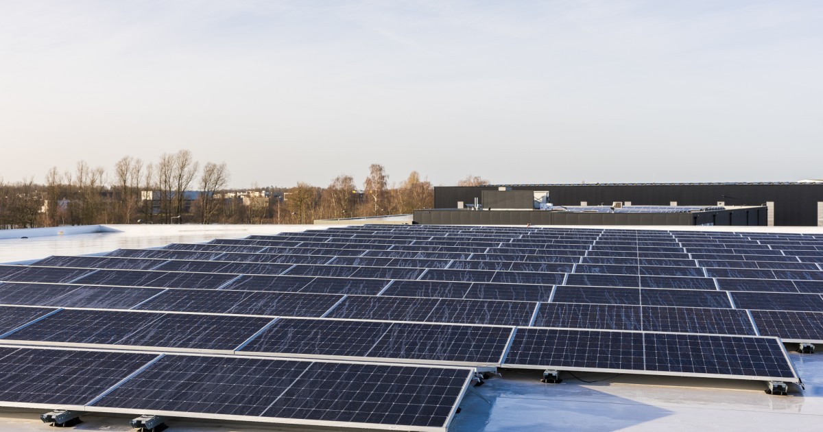 Netcongestie: wat is het en wat kun je doen?